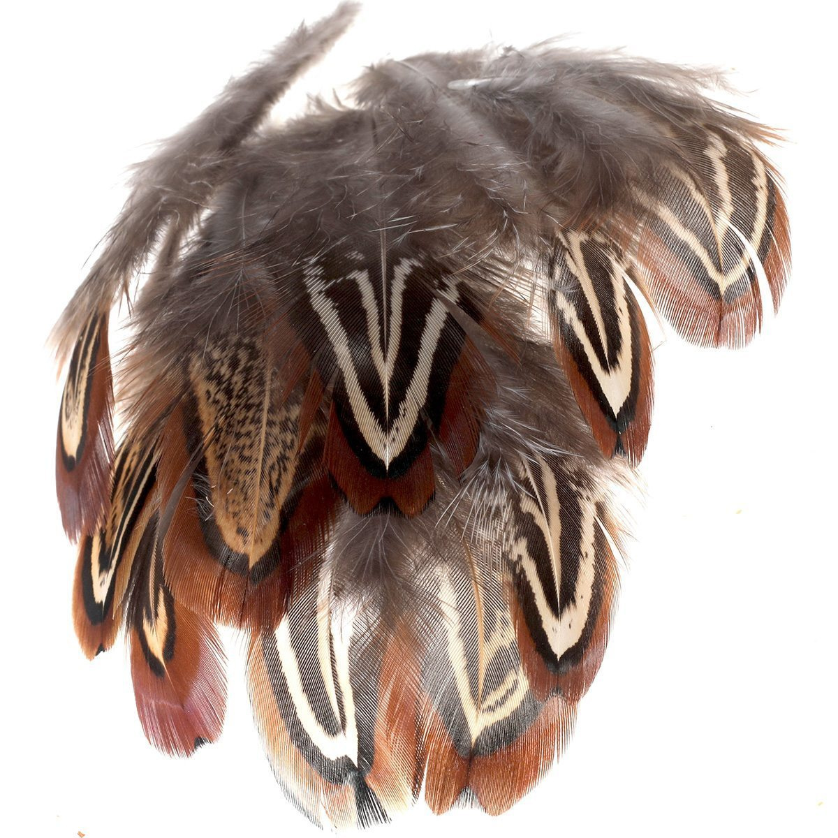 FFGene Pheasant Shoulder Feathers (Church Windows) | Fly Tying ...