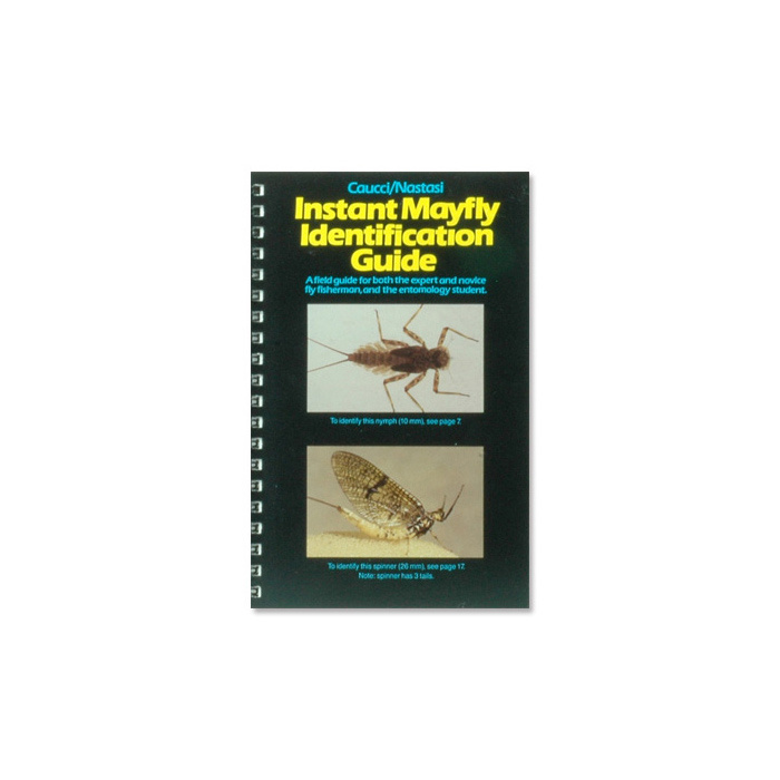 Instant Mayfly Identification Guide | Fly Fishing \ Fishing Accesories ...